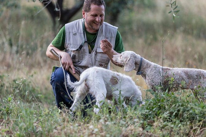 Truffle hunting - Reviews in a Nutshell