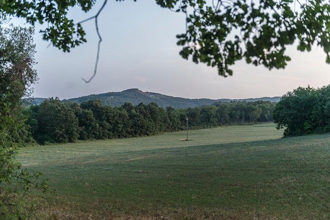Truffle hunting - The Sum Up: Who Should Consider This?