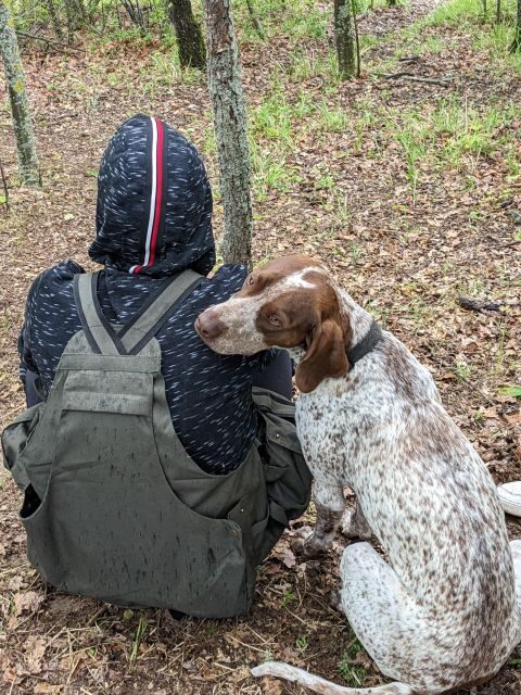 Truffle Hunting Experience with a Guide - A Closer Look at the Truffle Hunting Tour