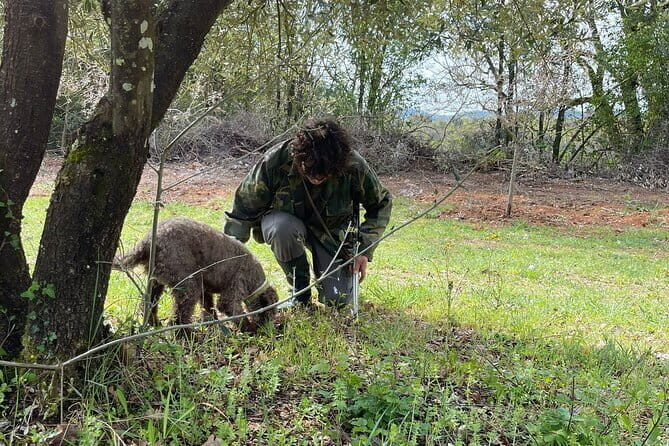 Truffle hunting experience with lunch and Chianti wine tasting - Who Should Consider This Tour?
