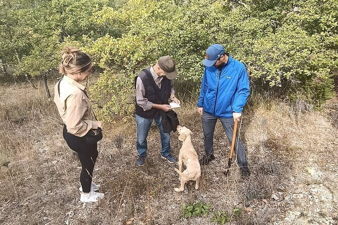 Truffle hunting experience with lunch and Chianti wine tasting - An In-Depth Look at the Tour Experience