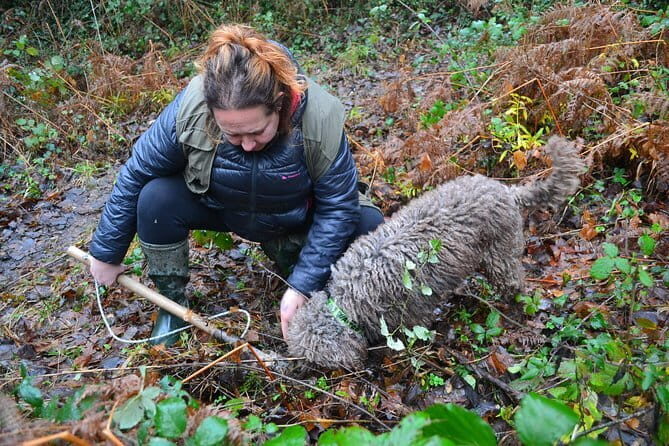Truffle Hunting Experience with Lunch in San Miniato - An Authentic Slice of Tuscany in Three Hours