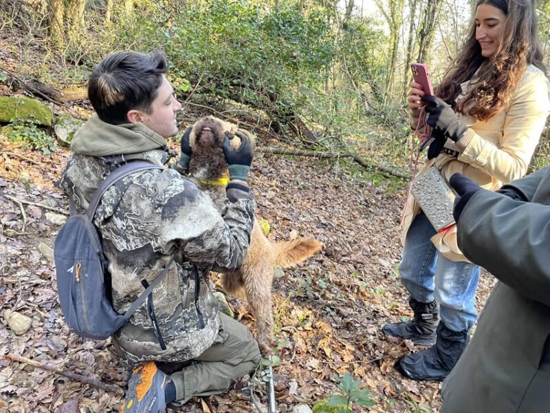 Truffle hunting in Chianti with pasta cooking class & lunch - Truffle Hunting in Chianti with Pasta Cooking Class & Lunch: An In-Depth Review