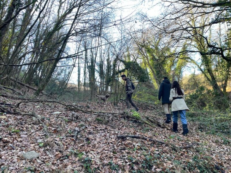 Truffle hunting in Chianti with pasta cooking class & lunch - Final Thoughts