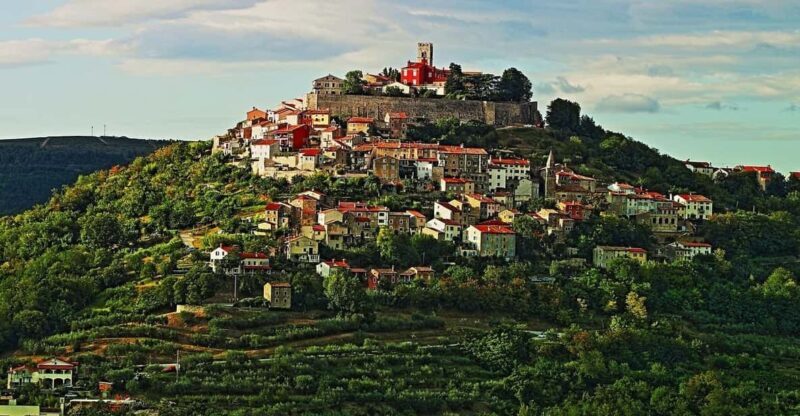 Truffle hunting in Istria private experience - Truffle Hunting in Istria Private Experience: A Deep Dive