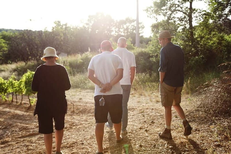 Truffle Hunting in Provence - An In-Depth Look at the Experience