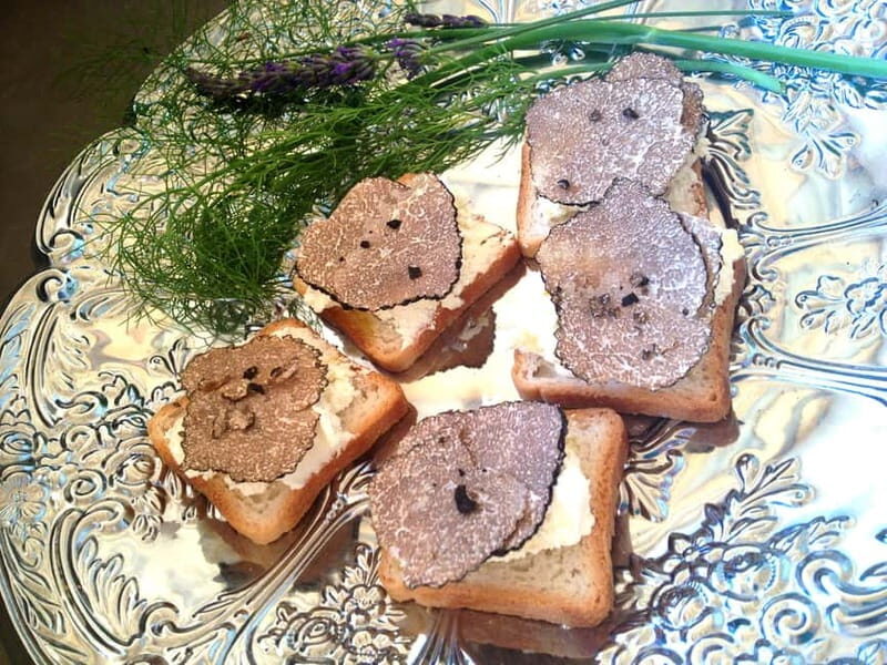 Truffle Hunting in Provence - The Sum Up