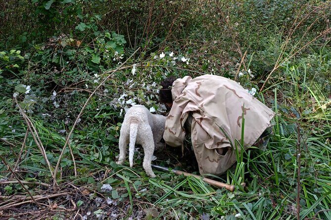 Truffle Hunting in San Miniato in Tuscany with Tasting - Key Points