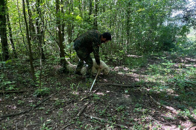 Truffle Hunting in San Miniato in Tuscany with Tasting - Tasting and Learning About Culinary Uses