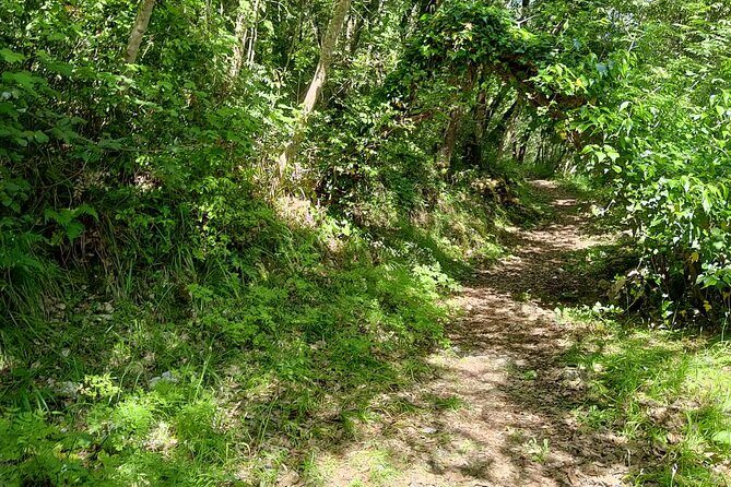 Truffle hunting in the Sicani mountains: a unique experience in Sicily - The Sum Up: Who Will Love This Tour?