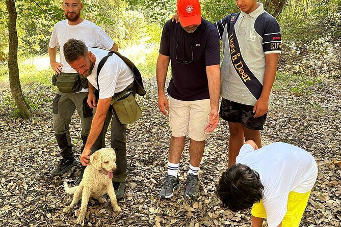 Truffle Hunting, Lunch & Cooking Class in Rome's Countryside - Who Will Most Appreciate This Tour?
