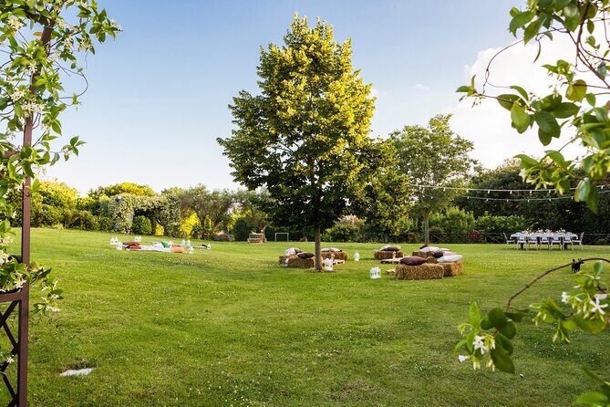 Truffle Hunting, Lunch & Cooking Class in Rome's Countryside - The Logistics and Overall Value