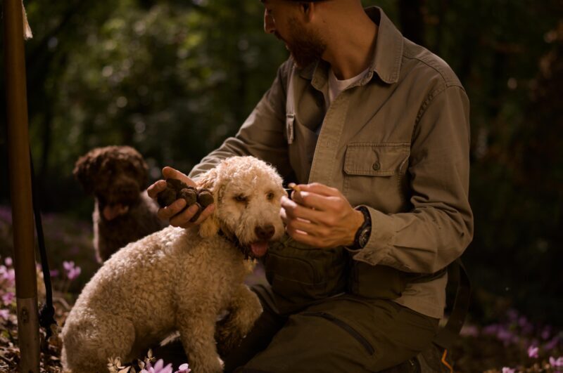 Truffle Hunting, Lunch & Cooking Class in Rome's Countryside - Truffle Hunting, Lunch & Cooking Class in Romes Countryside — An Authentic Italian Adventure