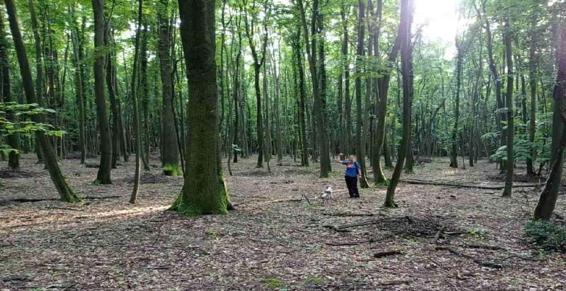 Truffle Hunting Tour, Serbia - Key Points