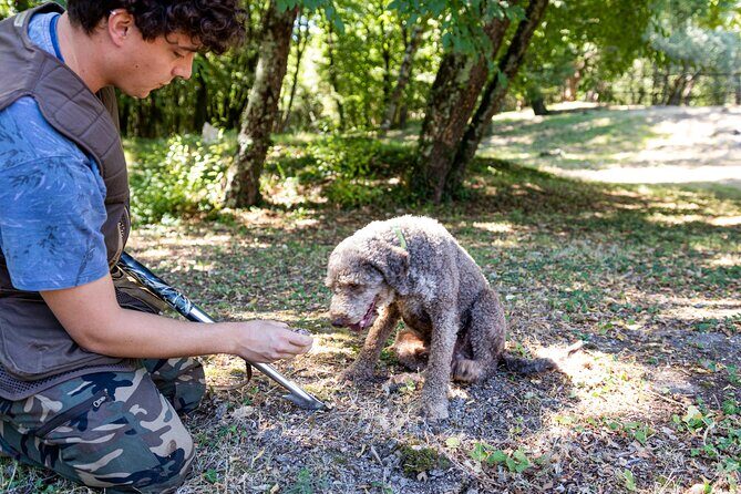 Truffle Hunting & Truffle Cooking Class - The Overall Experience: Balance of Education, Authenticity, and Indulgence