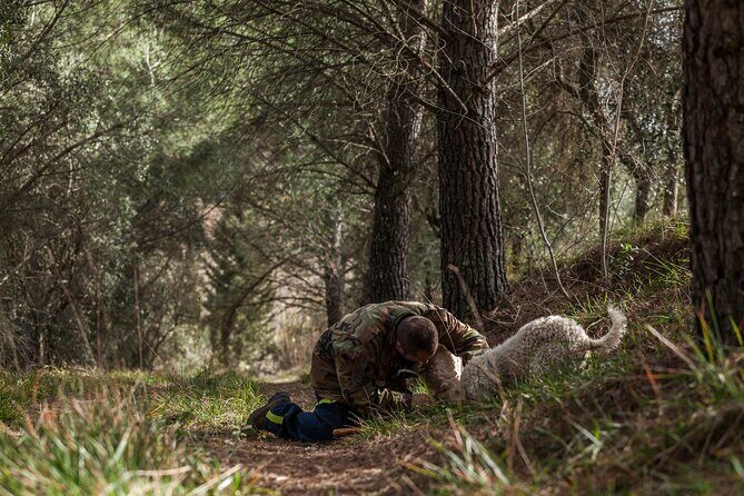 Truffle Lunch & Hunting Experience in San Gimignano - Key Points