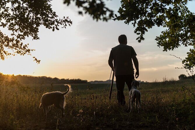 Truffle Lunch & Hunting Experience in San Gimignano - FAQ