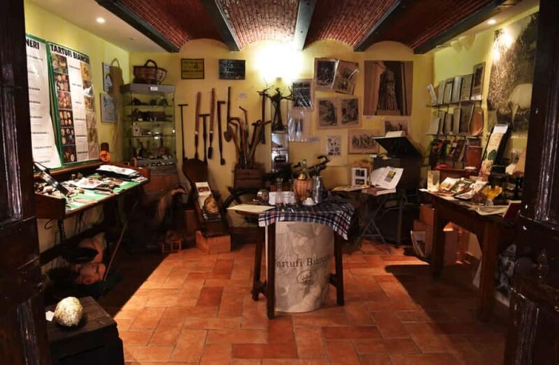 Truffle Tasting & Museum Tour in Umbria, near Perugia - An In-Depth Look at the Truffle Experience in Umbria