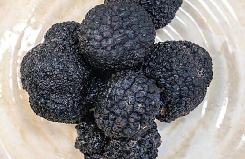 Truffle Tasting & Museum Tour in Umbria, near Perugia - The Sum Up