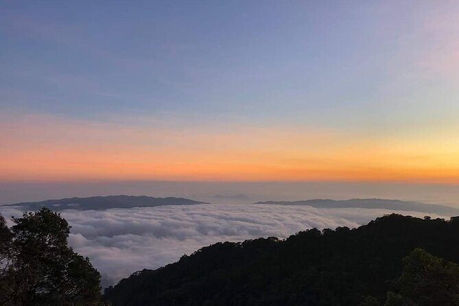 TRULY An AMAZING EPIC VENTURE to GOLDEN HAND BRIDGE & BANA HILLS - Authentic Experiences and Traveler Feedback