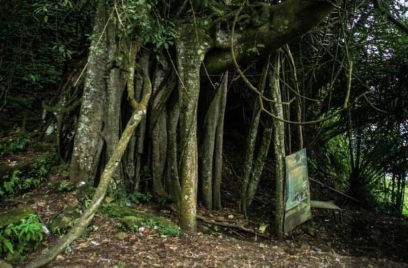 Trunyan Cemetery Tour with Boat Ride and Guide - What the Reviews Say