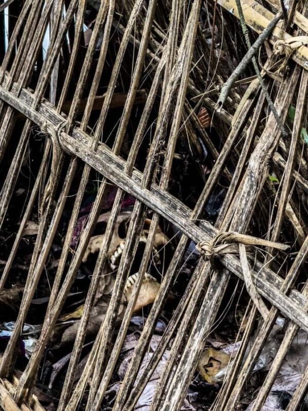 Trunyan Cemetery Tour with Boat Ride and Guide - The Sum Up