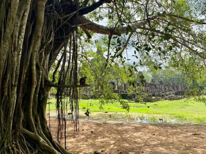 Trusty Tuk Tuk - Final Thoughts: Who Will Love Trusty Tuk Tuk?