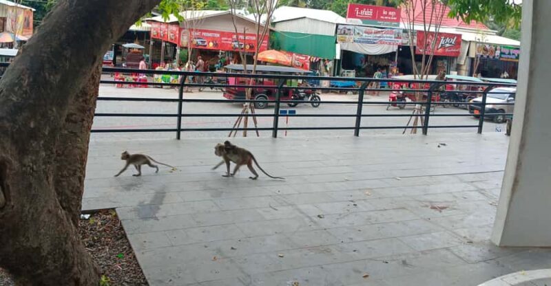 Trusty tuktuk tour/Bambootrain/countryside/killing &bat cave - The Sum Up