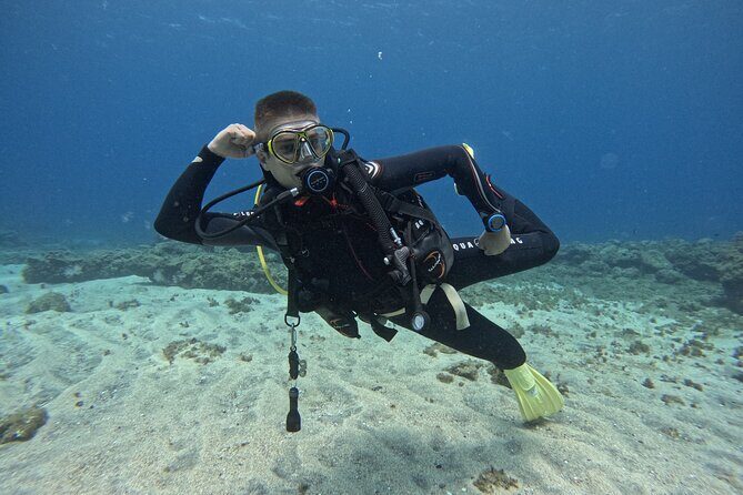 Try Dive in Abades Bay with a private instructor - Included and Not Included: What Your Money Gets You