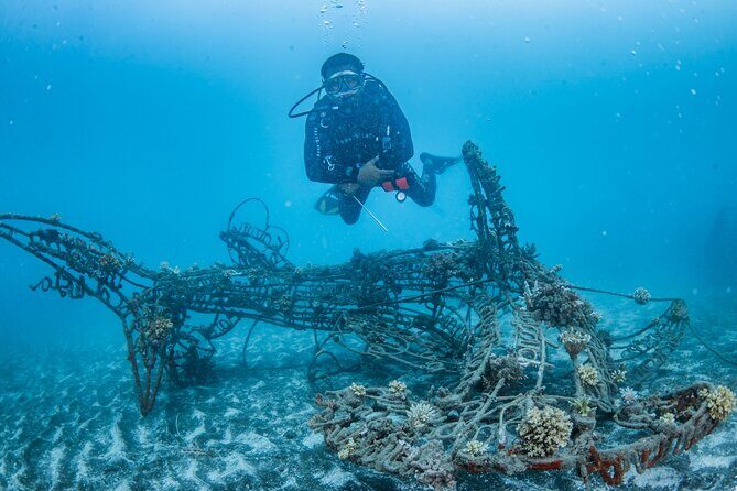 Try Dive Program in the Biorock Pemuteran - Starting Point: Smooth Check-In and Clear Briefings