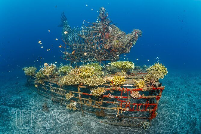 Try Dive Program in the Biorock Pemuteran - Post-Dive Debriefing and Refreshments