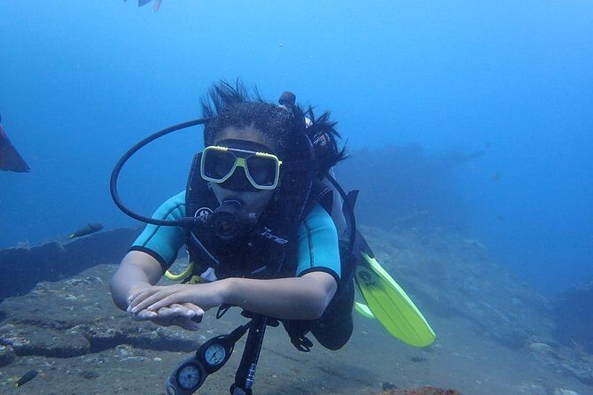 Try Diving at USAT Liberty Wreck Tulamben with 1 or 2 Dives (Stay In Tulamben) - An Authentic Dive into Tulamben’s Underwater World