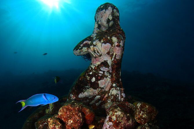 Try Diving at USAT Liberty Wreck Tulamben with 1 or 2 Dives (Stay In Tulamben) - In Closing