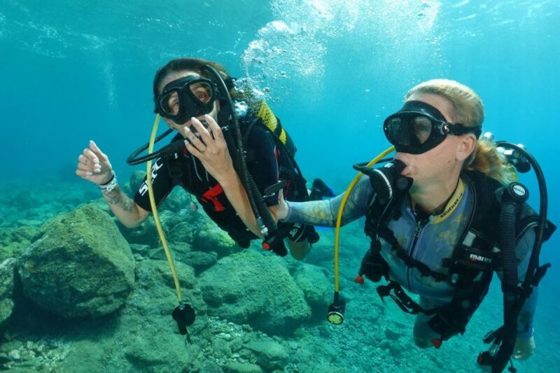 Try diving for the first time in turtle area - Final Word
