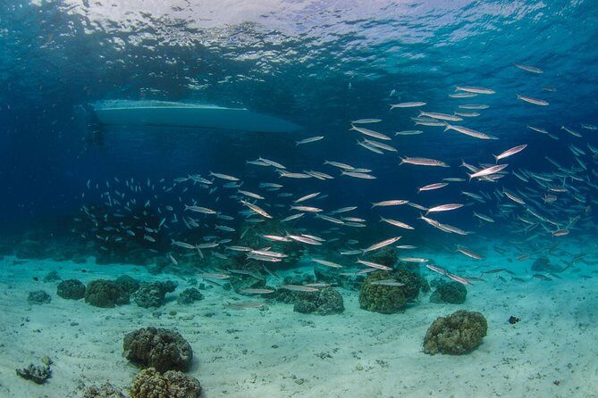 Try Diving in the beautiful Andaman Sea - FAQ