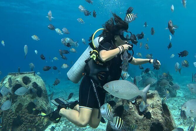 Try diving without previous experience from shore - What to Expect: From Classroom to Underwater Wonder