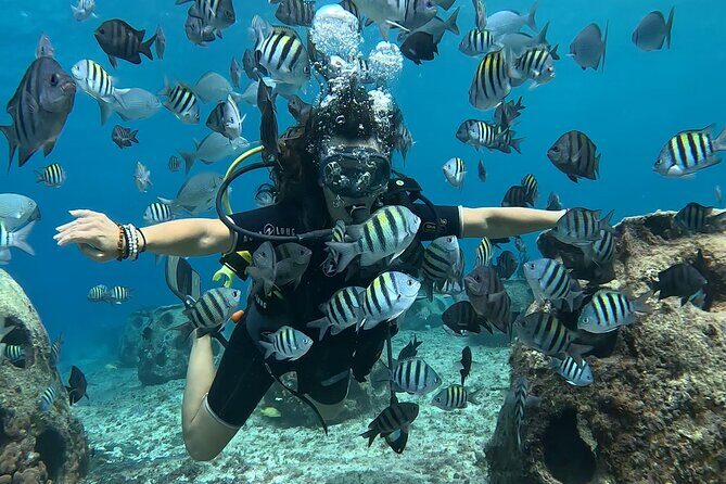 Try diving without previous experience from shore - The Cost and Value: Is It Worth It?