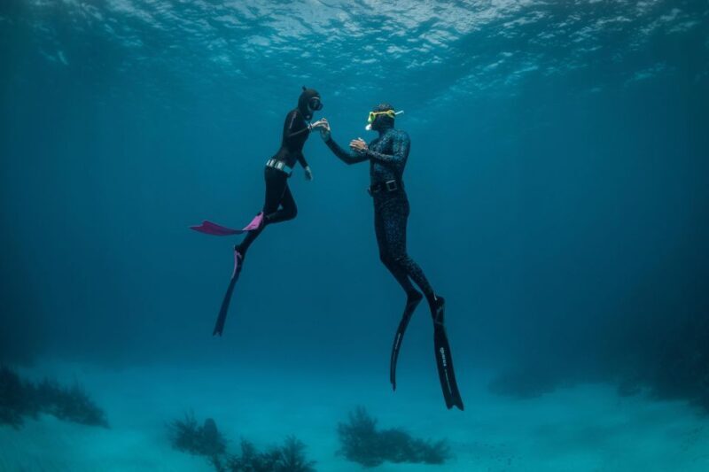 Try Free Diving in the Island of the Big Blue - The Experience: A Closer Look at the Tour