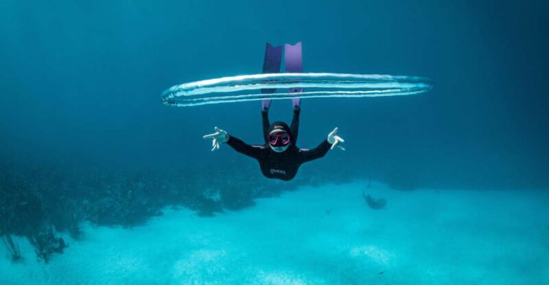 Try Free Diving in the Island of the Big Blue - What Travelers Say About This Tour