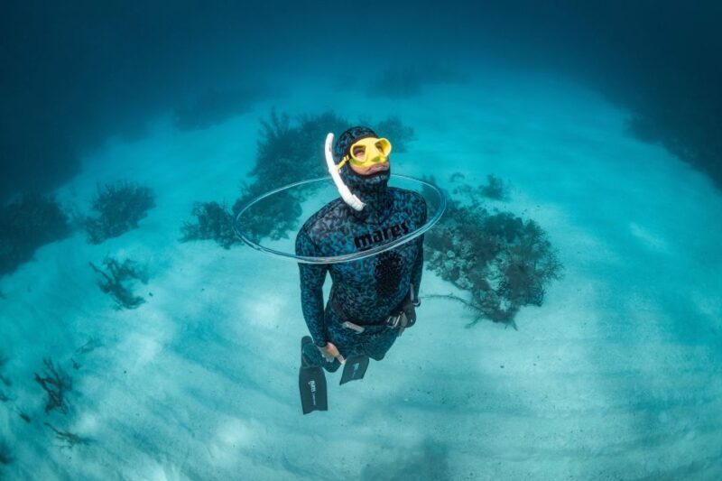 Try Free Diving in the Island of the Big Blue - Who Should Sign Up?