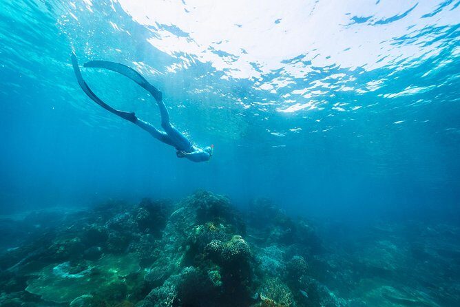 Try Freediving on Nusa Penida - The Sum Up