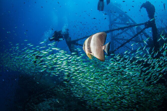 Try Scuba Diving 2 Dives Bang Bao - Why This Tour Stands Out