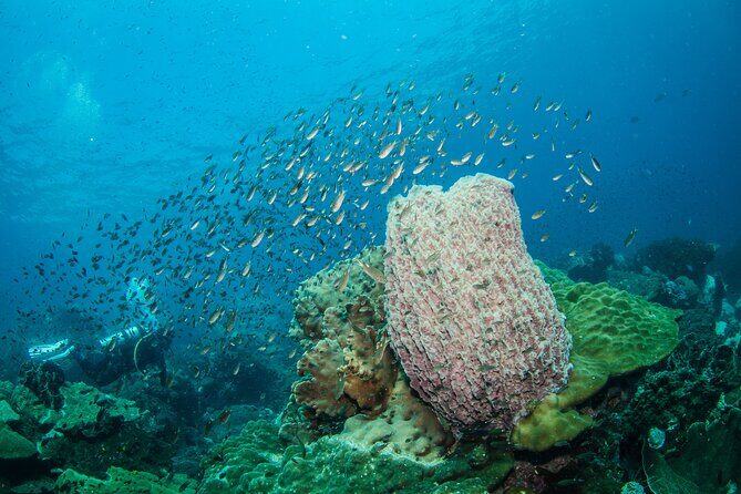 Try Scuba Diving 2 Dives Bang Bao - Final Thoughts