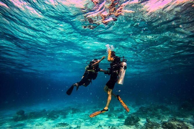 Try Scuba Diving - The Review Highlights