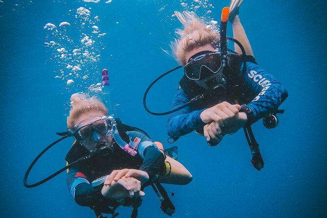 Try Scuba Diving - Cost and Overall Value