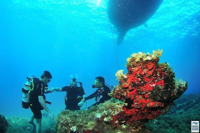 Try Scuba Diving and Snorkeling boat trip in Ibiza - A Detailed Look at the Experience