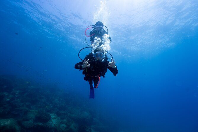 Try Scuba Diving at Cook Island  Guided Ocean Dive with Turtles - Introduction