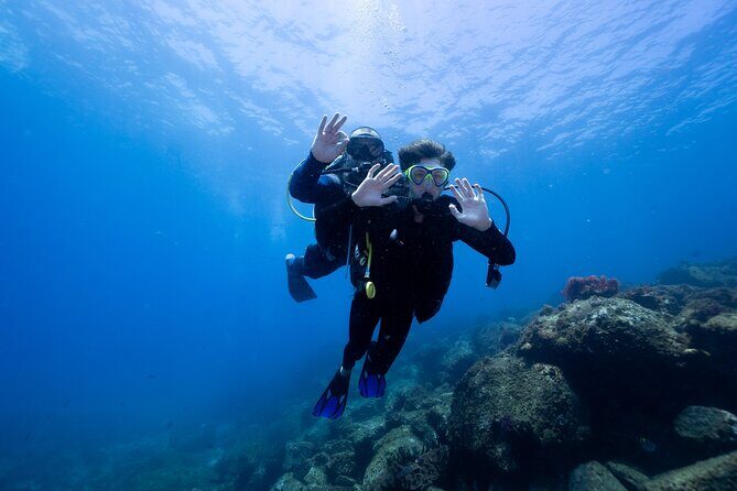 Try Scuba Diving at Cook Island  Guided Ocean Dive with Turtles - What Is This Tour Really Like?