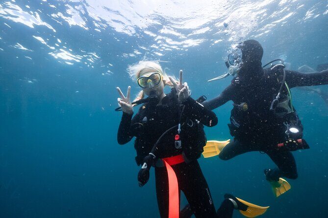 Try Scuba Diving at Cook Island  Guided Ocean Dive with Turtles - The Sum Up