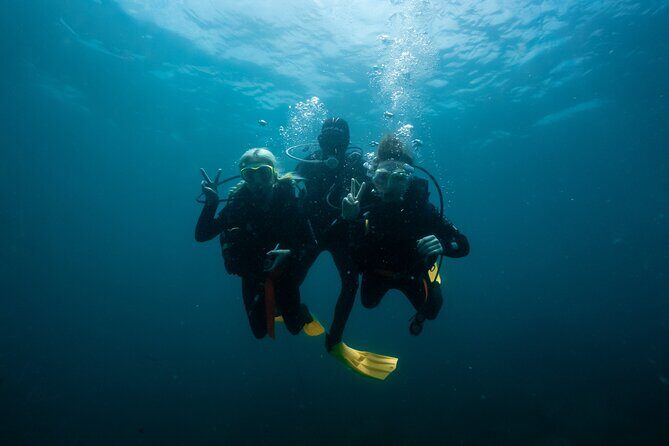 Try Scuba Diving at Cook Island  Guided Ocean Dive with Turtles - FAQ
